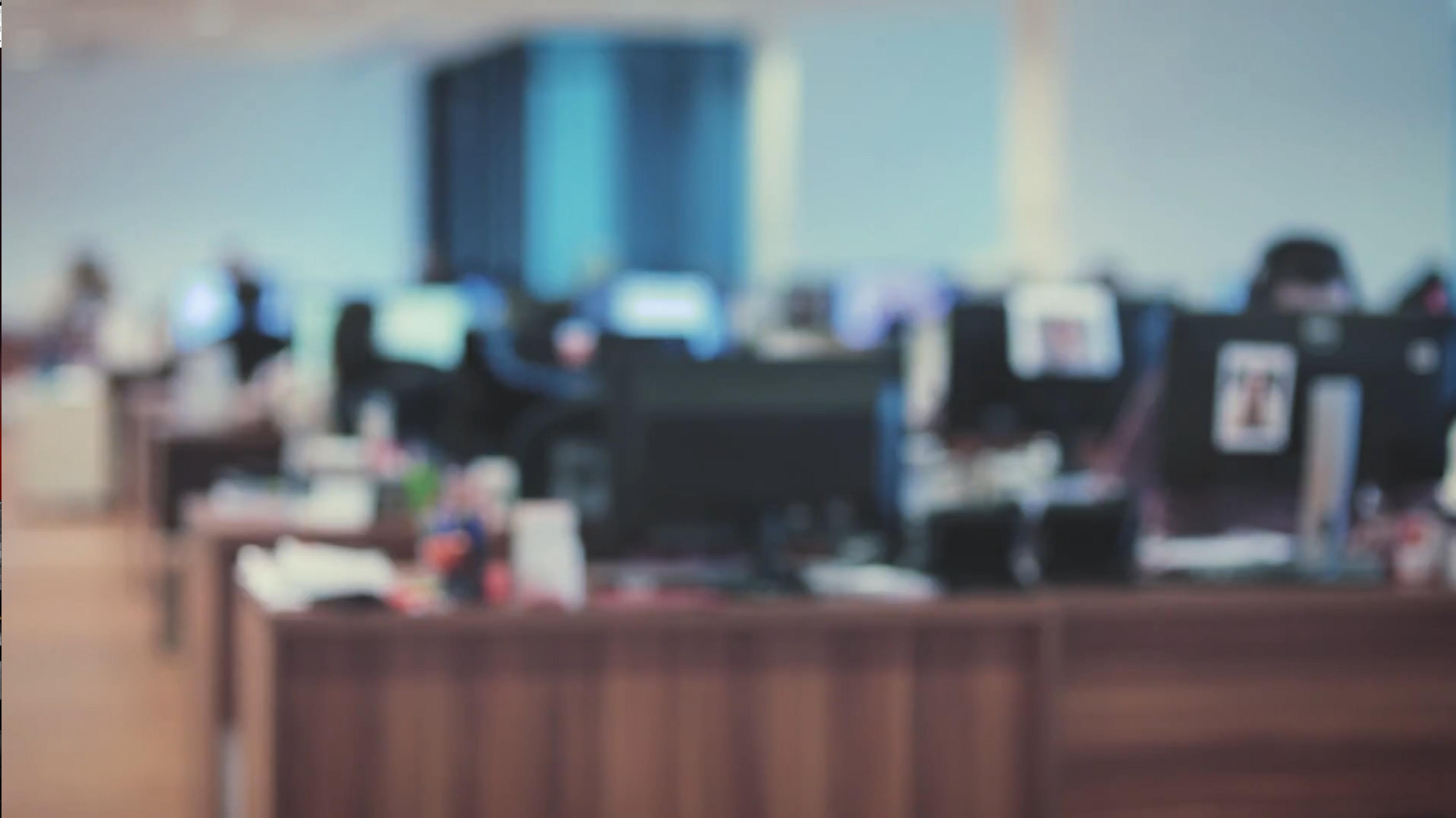 Promidea - Our company